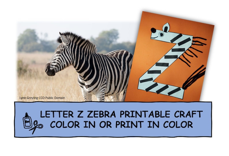 Letter Z Zebra Printable Color in or Print in Color Cut and Paste ...