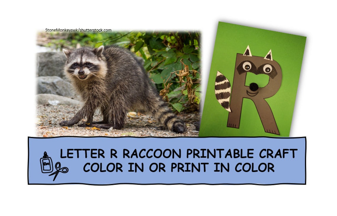Letter R Raccoon Craft: Alphabet Printable (digital Download) - Etsy
