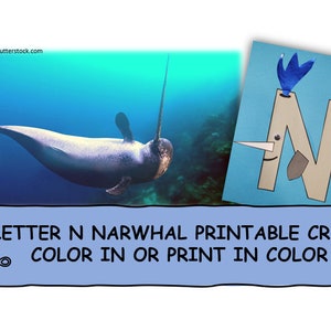 Letter N Narwhal Printable - Color in or Print in Color - Cut and Paste ...