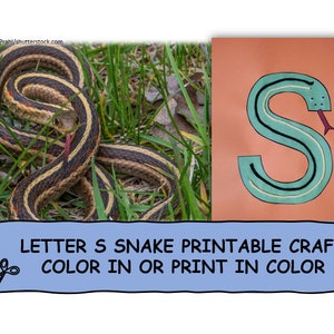 Letter S Snake Printable - Color in or Print in Color - Cut and Paste ...