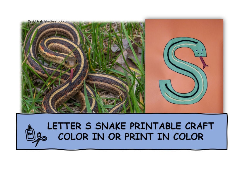 Letter S Snake Printable - Color in or Print in Color - Cut and Paste ...