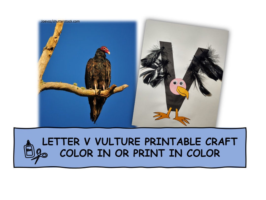 Letter V Vulture Printable - Color in or Print in Color - Cut and Paste ...
