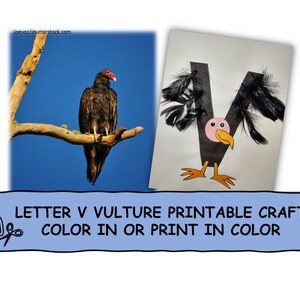 Letter V Vulture Printable Color in or Print in Color Cut and Paste ...