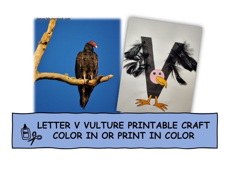 Letter V Vulture Printable - Color in or Print in Color - Cut and Paste ...