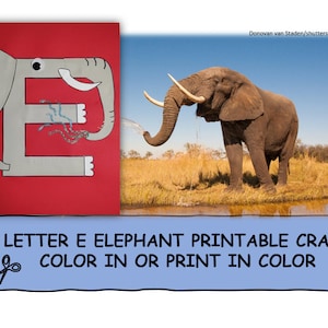 Letter E Elephant Printable Color in or Print in Color Cut and Paste ...