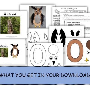 Letter O Owl Printable - Color in or Print in Color - Cut and Paste ...