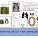 Letter O Owl Printable - Color in or Print in Color - Cut and Paste ...