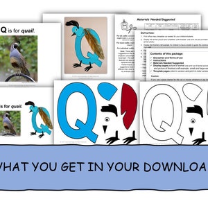 Letter Q Quail Printable - Color in or Print in Color - Cut and Paste ...
