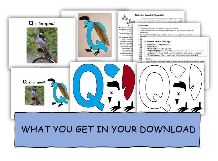 Letter Q Quail Printable - Color in or Print in Color - Cut and Paste ...