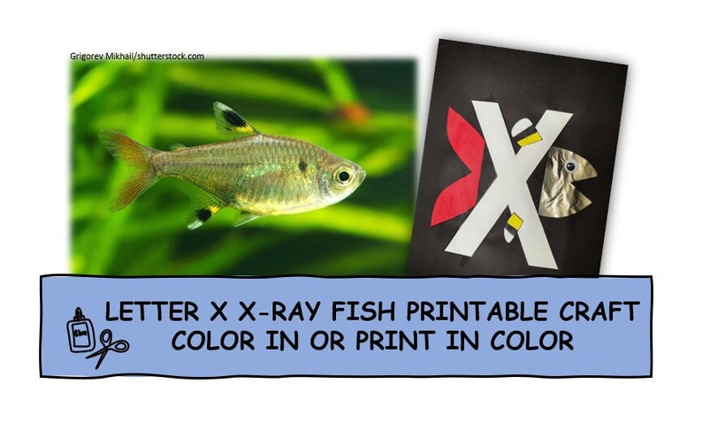 Letter X X-ray Fish Printable - Color in or Print in Color -cut and ...