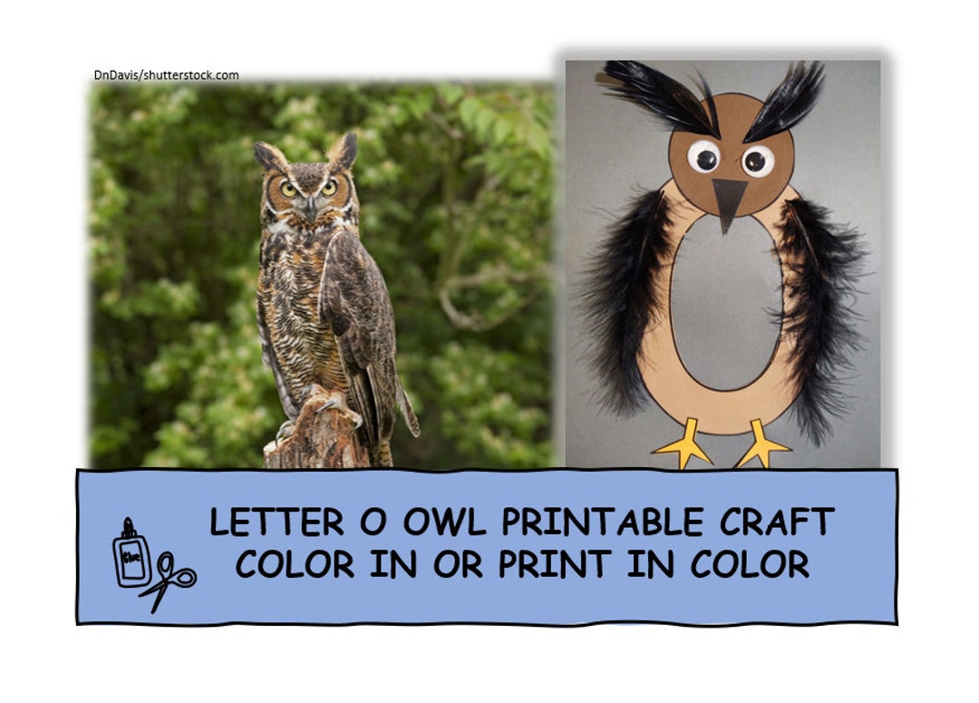 Letter O Owl Printable - Color in or Print in Color - Cut and Paste ...