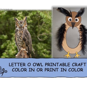 Letter O Owl Printable - Color in or Print in Color - Cut and Paste ...