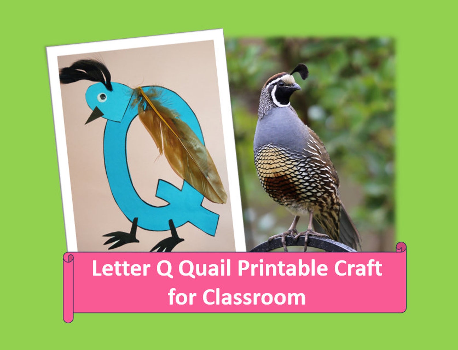 Letter Q Quail Printable for Classroom Cut and Paste Alphabet Craft ...