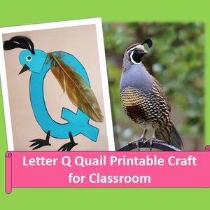 Letter Q Quail Craft: Cut and Paste Alphabet (digital Download) - Etsy