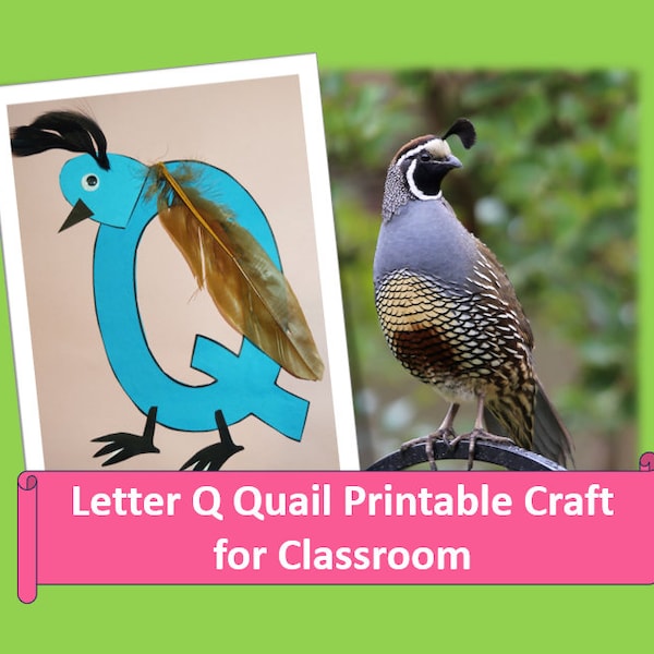Q is for Quail - Etsy