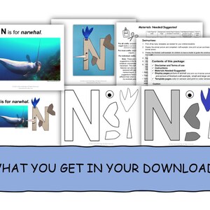 Letter N Narwhal Printable - Color in or Print in Color - Cut and Paste ...