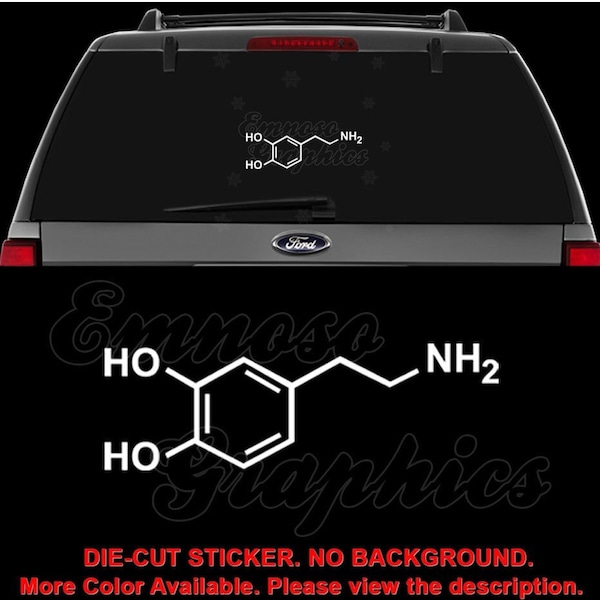 Science Wall Decals - Etsy