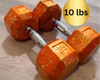 5lbs Hand Painted Custom Dumb Bells Customized Dumb Bells Gym Lovers ...