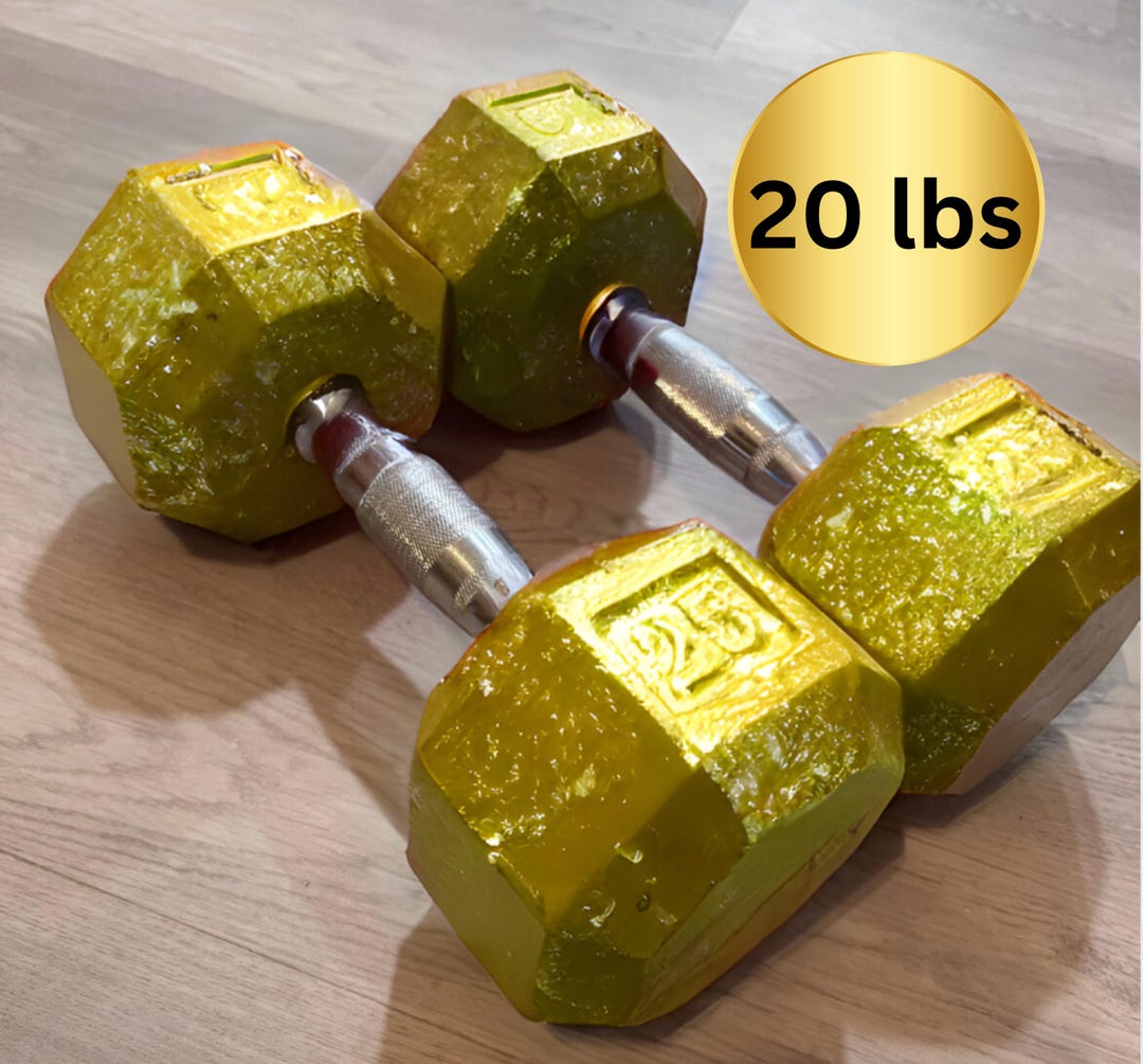 20 Lbs Hand Painted Custom Dumb Bells Customized Dumb Bells Gym Lovers ...