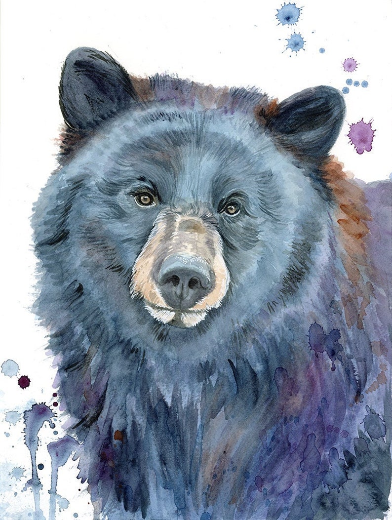 North American Black Bear Watercolor, Fine Art Giclée Print - Etsy