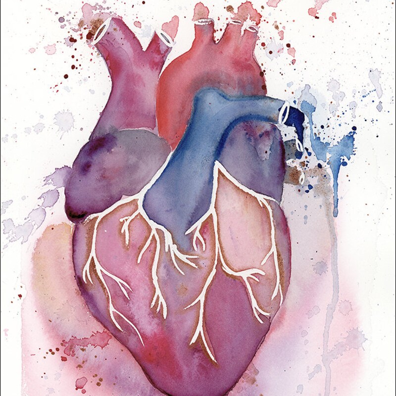 Anatomical Heart Art - Etsy