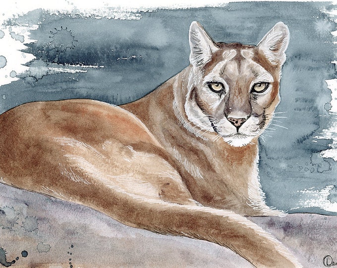 COUGAR Vintage Lithograph From 1956 - Etsy