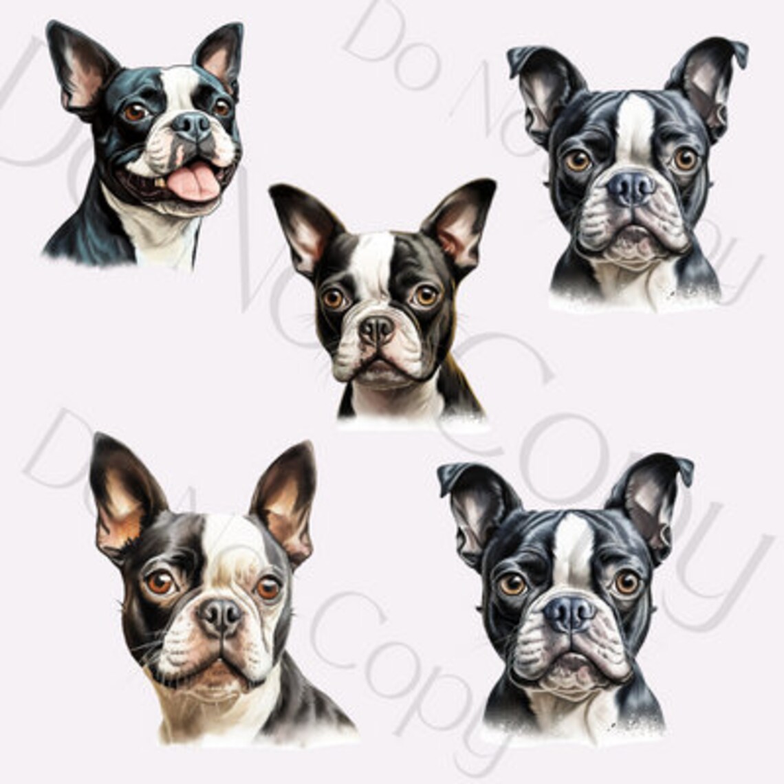 Dog Clip Art, Dog Portraits, Dog Breed Photos, Boston Terrier Dog Clip ...