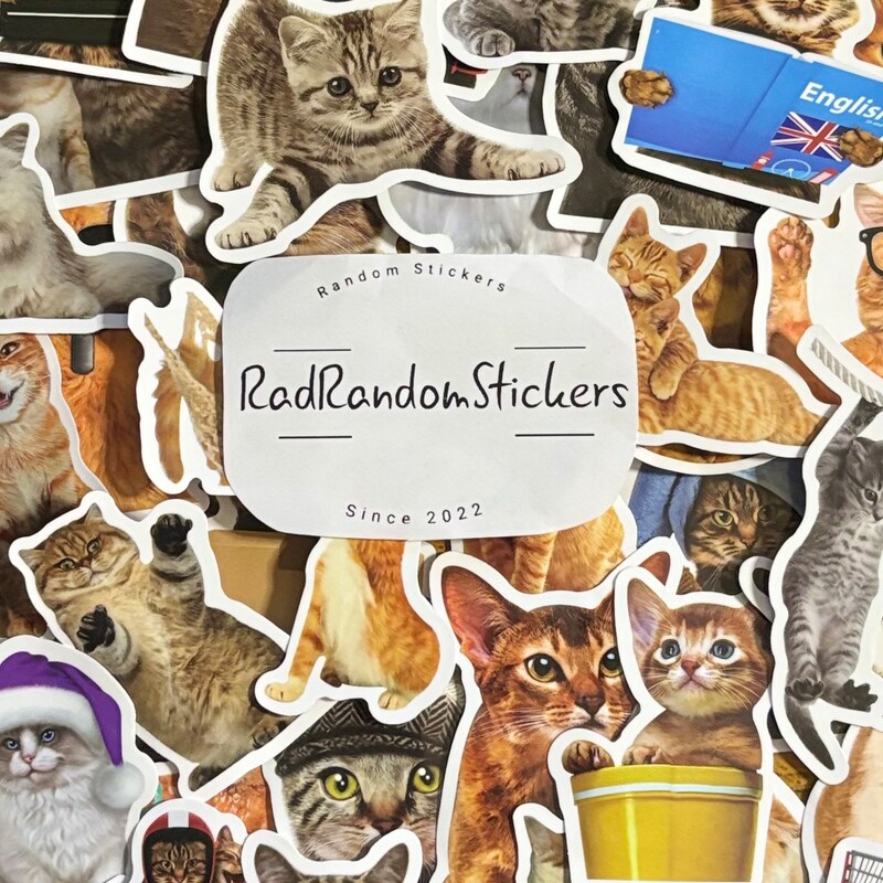 Gatos stickers - Etsy México