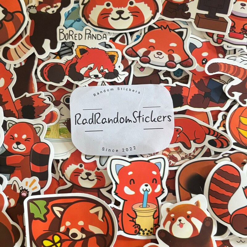 Cute Panda Water Bottles - Etsy