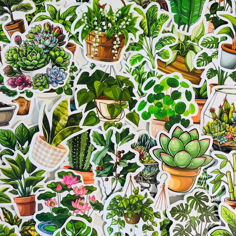 Succulents Stickers Funny - Etsy
