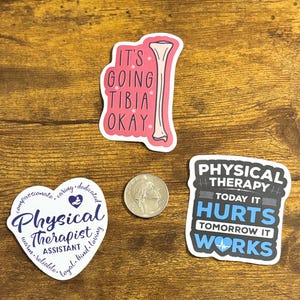 5-50 Pack Physical Therapy Stickers for Laptops, Skateboards, Phones ...