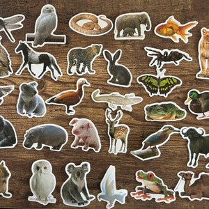 Animal Stickers - Etsy