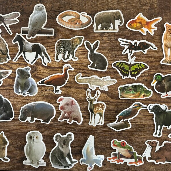 Animal Stickers - Etsy