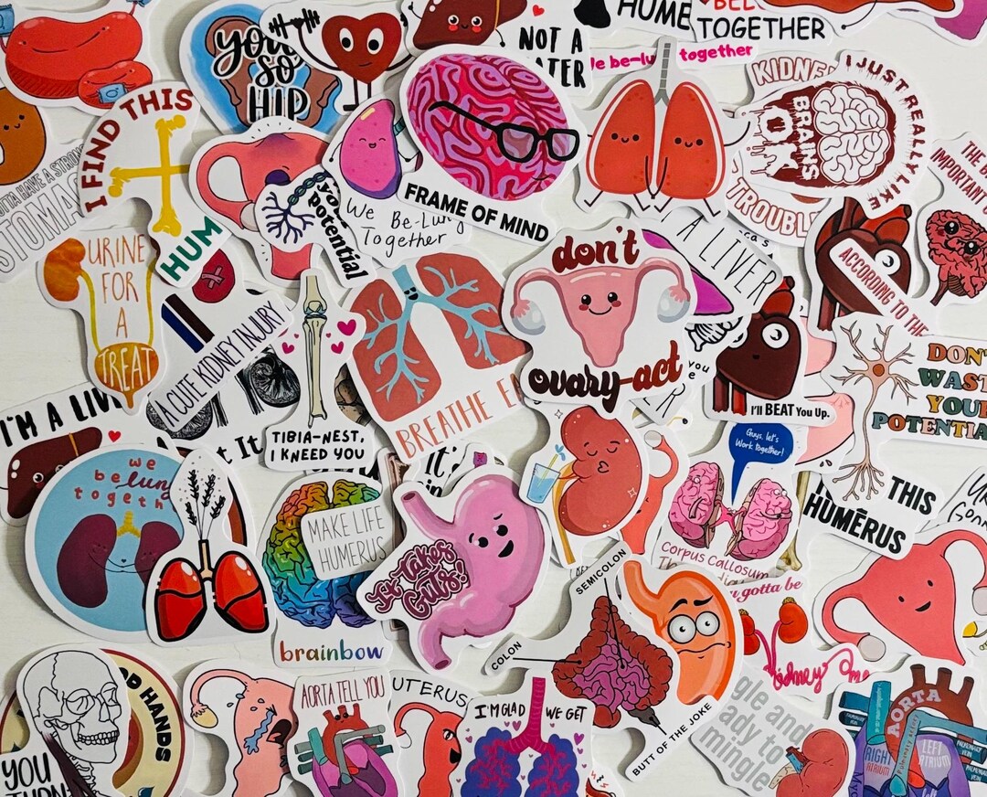 Humorous Anatomy Stickers Pack of 10, 20 or 50 Decals for Planners ...