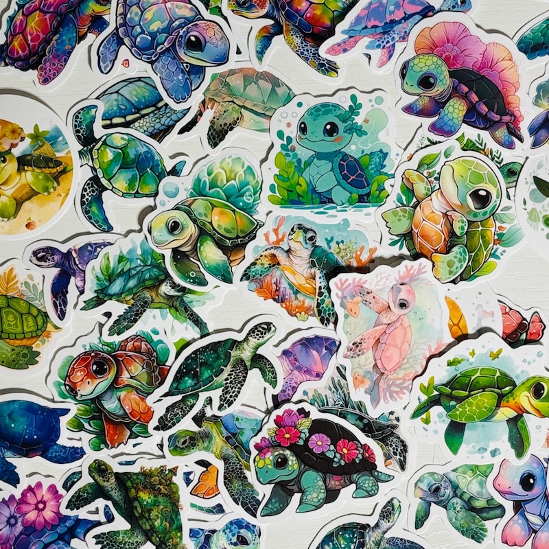 Turtle Decal - Etsy