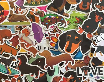 50 Pack of USA State Stickers for Laptops, Skateboards, Phones, Rewards ...