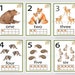 WOODLAND NUMBER POSTERS, Printable Woodland Theme, Numbers 1-20 ...