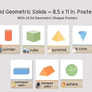 FARM THEME 2D and 3D Shapes Posters for Classroom, Set of 21 Printable ...