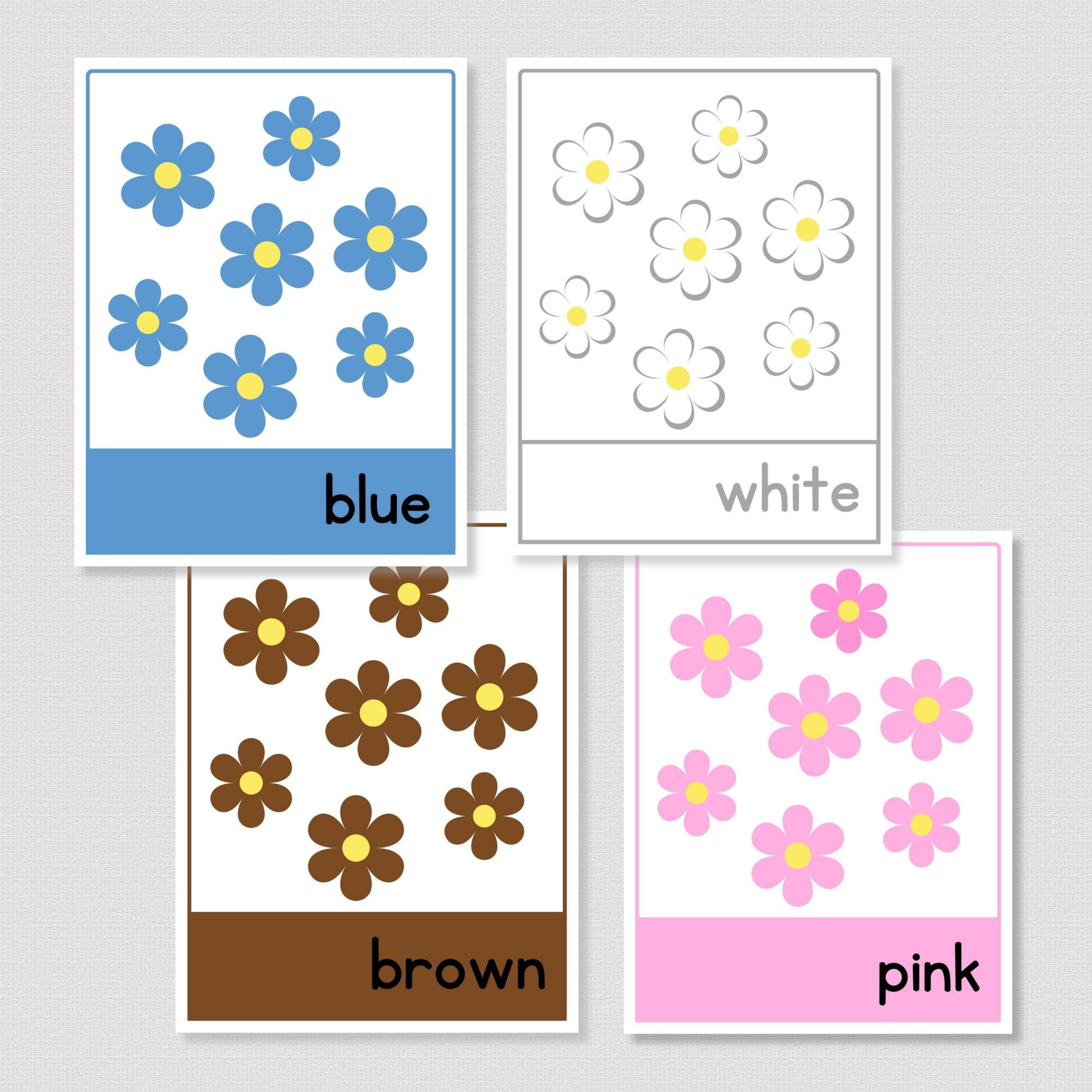 BOHO GARDEN COLOR Posters for Classroom, Printable Color Wall Posters ...