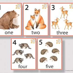 PRINTABLE NUMBER FLASHCARDS 1 -10, Woodland Animal Counting Cards ...