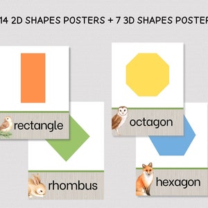 2D and 3D SHAPES POSTERS for Classroom, Set of 21 Printable Woodland ...