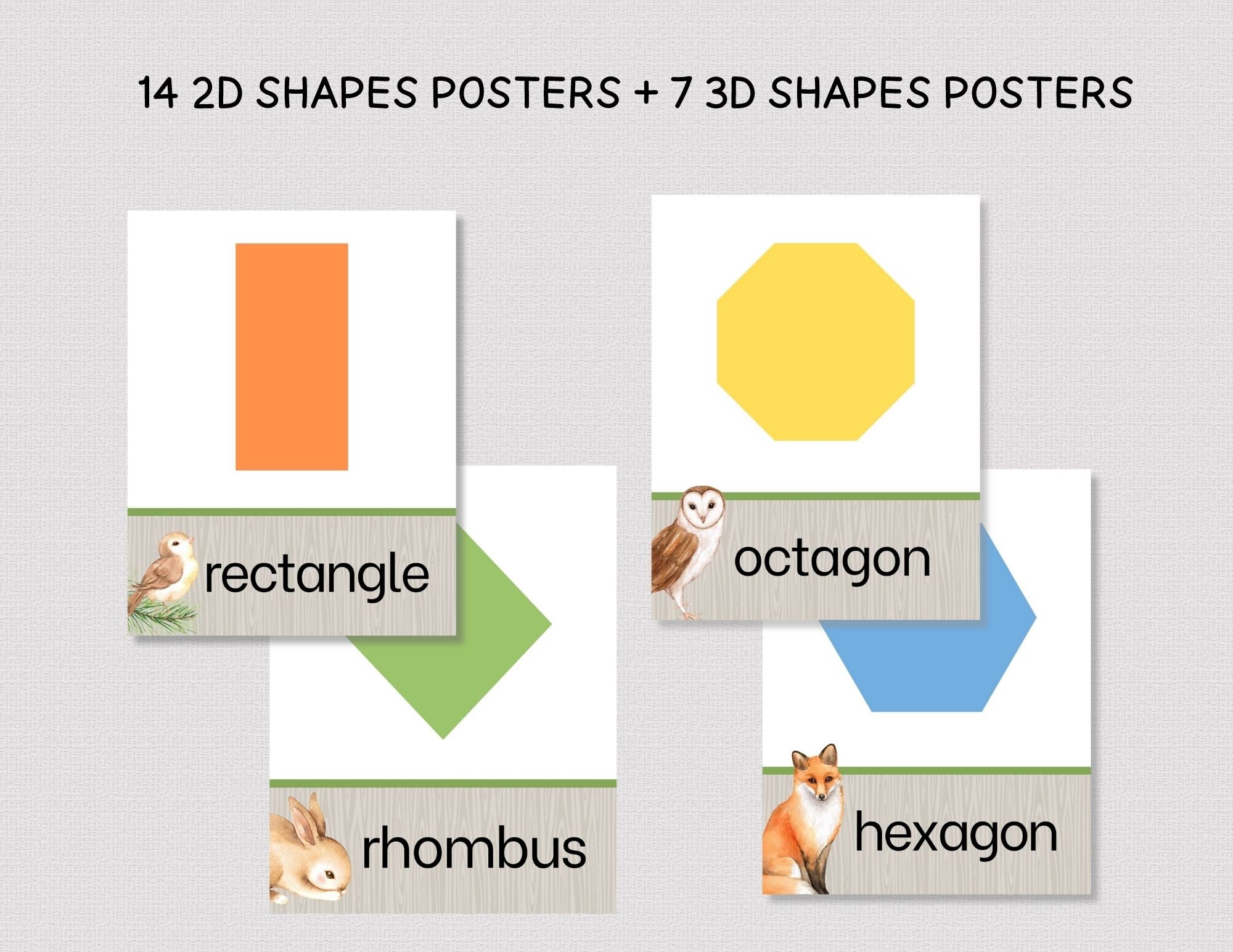 2D and 3D SHAPES POSTERS for Classroom, Set of 21 Printable Woodland ...