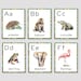 JUNGLE ALPHABET POSTERS, Printable Safari Animals Alphabet Posters, Abc ...