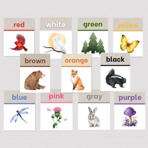 WOODLAND COLOR POSTERS for Classroom, Printable Color Wall Posters ...