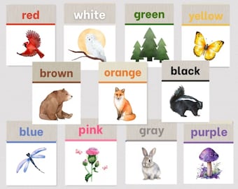 Printable 2d Shape Posters Woodland Theme Classroom Decor - Etsy Canada