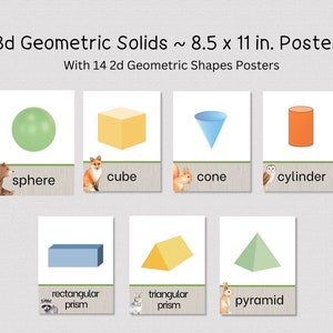 2D and 3D SHAPES POSTERS for Classroom, Set of 21 Printable Woodland ...