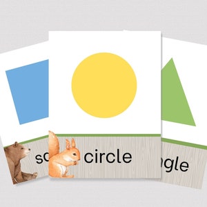2D and 3D SHAPES POSTERS for Classroom, Set of 21 Printable Woodland ...