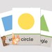 2D and 3D SHAPES POSTERS for Classroom, Set of 21 Printable Woodland ...