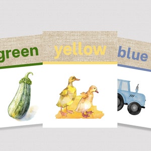 FARM THEME COLOR Posters for Classroom, Printable Farm Theme Color ...