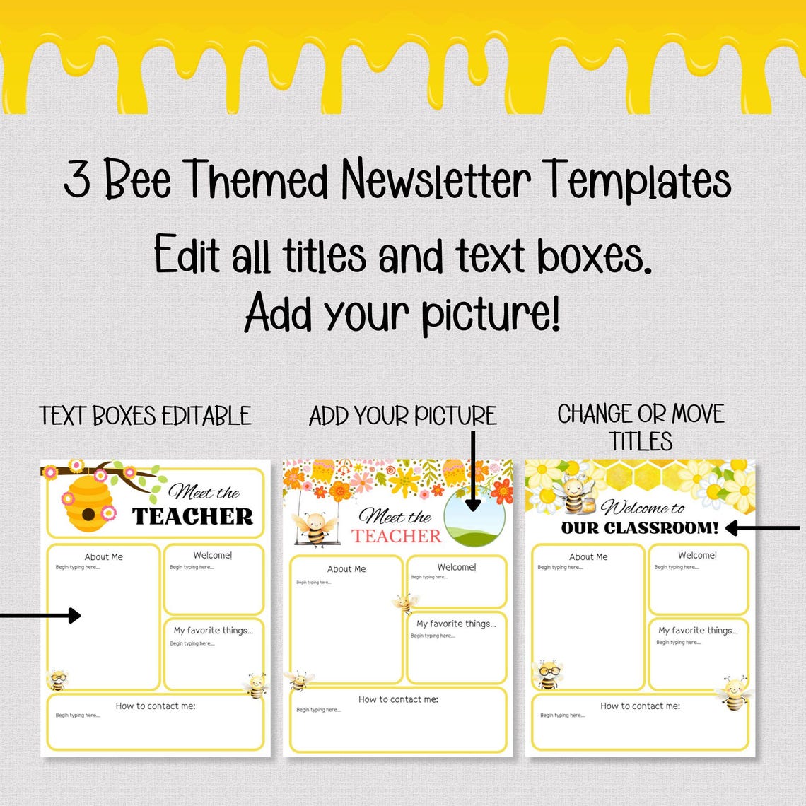 MEET THE TEACHER Bee Theme Newsletter Templates, Canva Template for ...